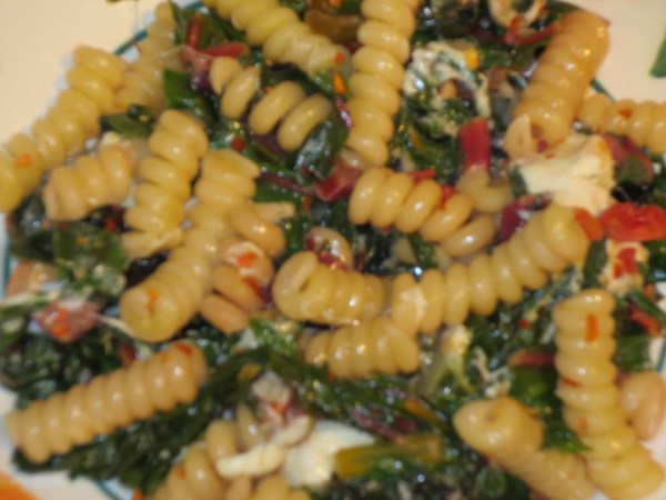 Rainbow Chard with Melty Fresh Mozzarella and Fusilli Pasta ...